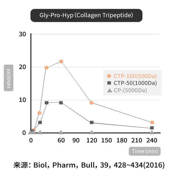 News - Why is collagen tripeptide so popular？