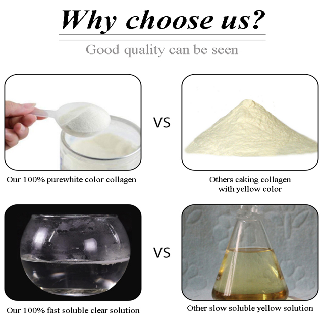 China OEM Supply Bovine Bone Collagen Peptide Food Grade Hydrolyzed ...