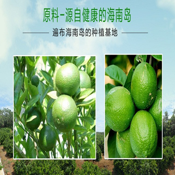 China Natural Instant Lime Powder / Lime Juice Powder factory and ...